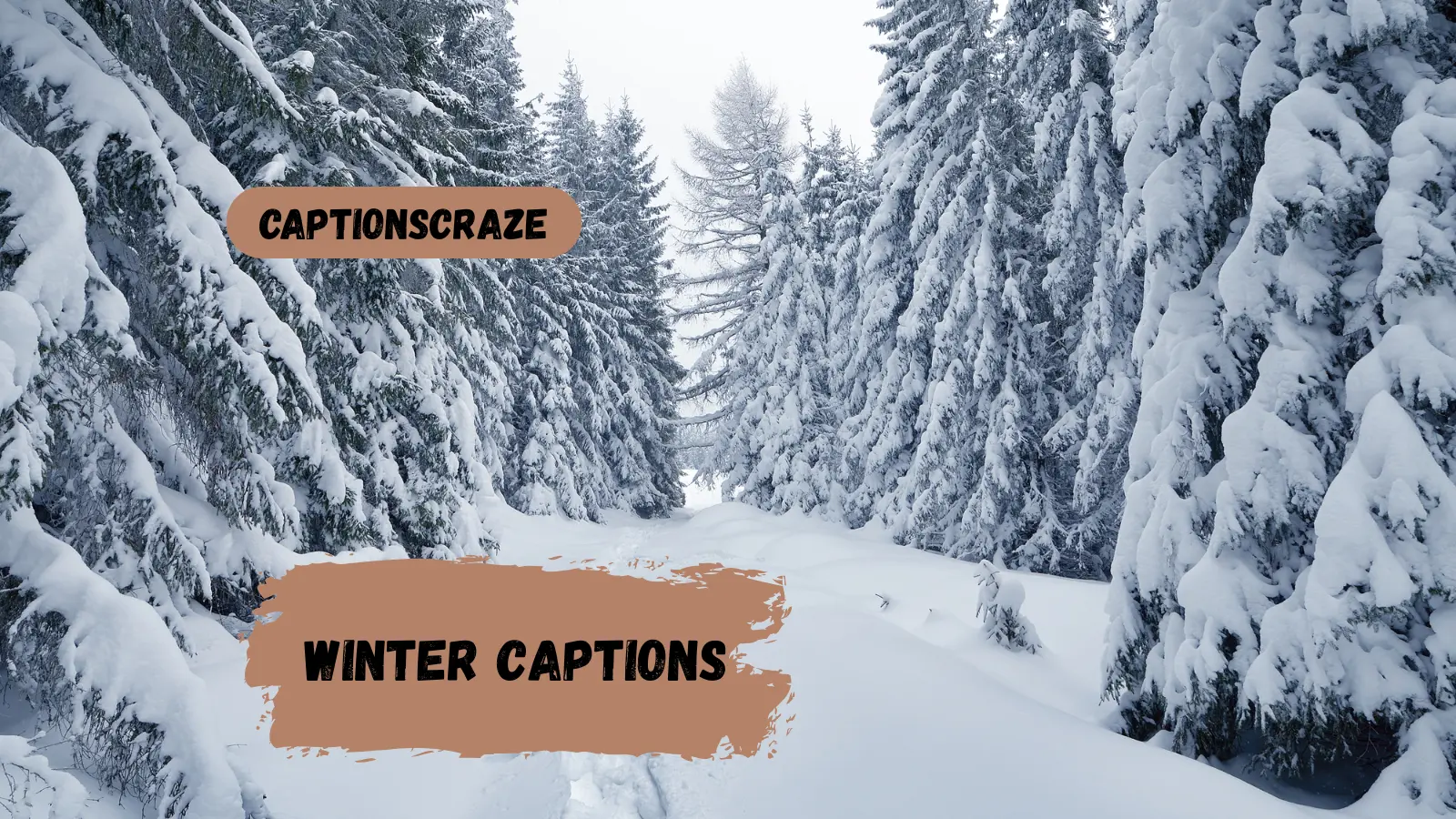 The Complete Guide to Winter Captions and Quotes