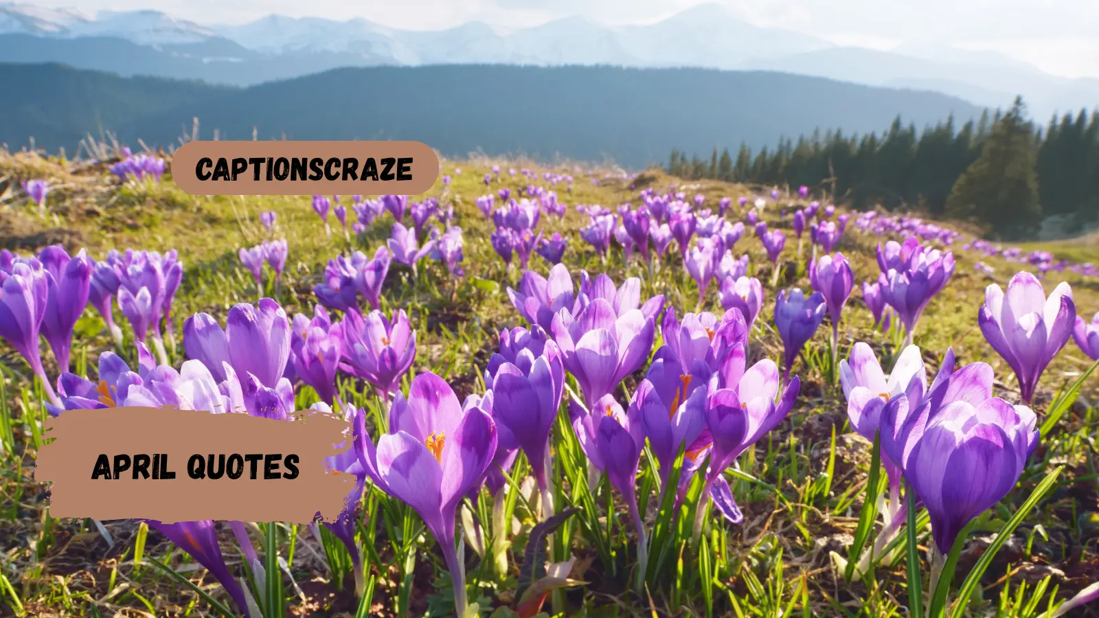 300+April Quotes
