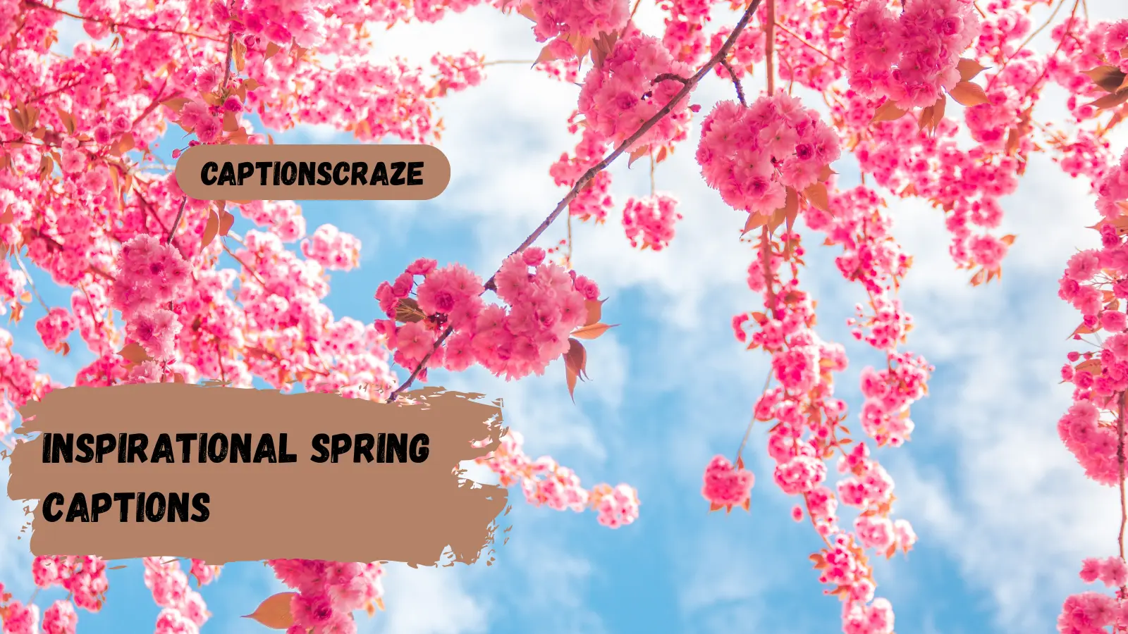 Inspirational Spring Captions & Quotes: A Complete Guide