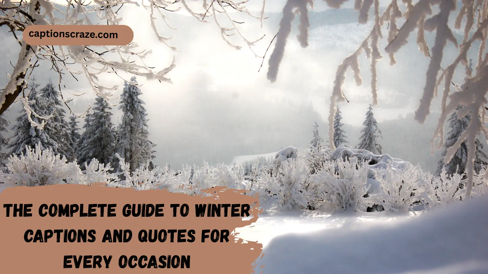 350+The Complete Guide to Winter Captions and Quotes for Every Occasion